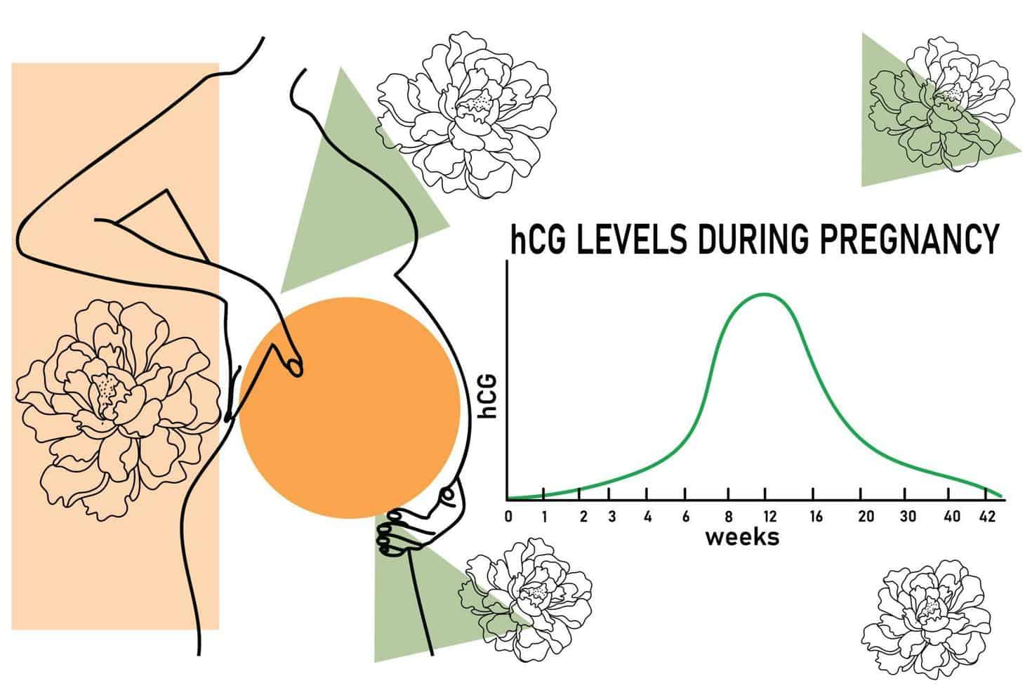 Question Mark on Pregnancy Test: What It Means and What to Do