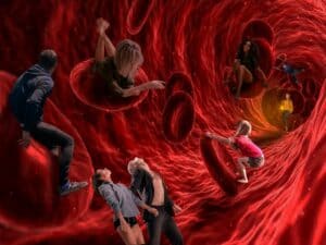 Do Fraternal Twins Have the Same Blood Type? Explained by a Medical Expert